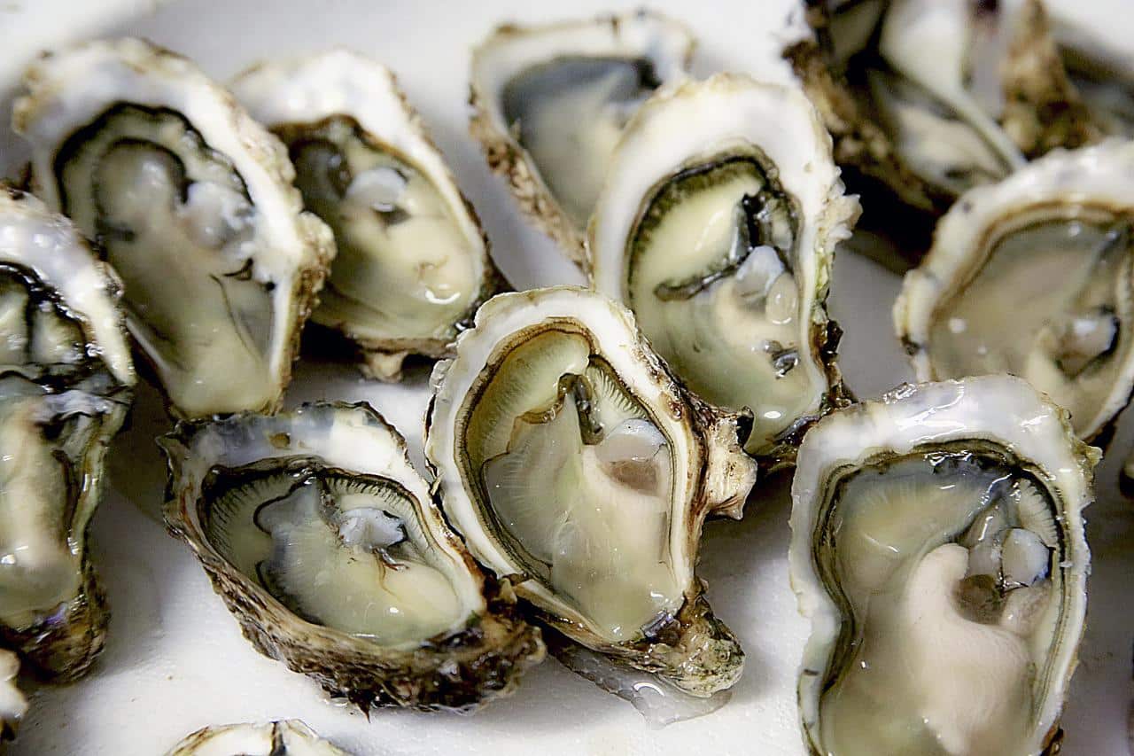 Meet the World’s First Plant-Based Oyster, Complete with Biodegradable ...