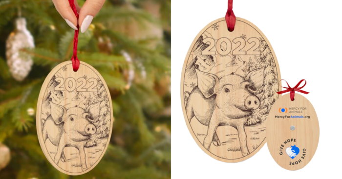 10 Ways You Can Deck the Halls with Kindness This Holiday Season