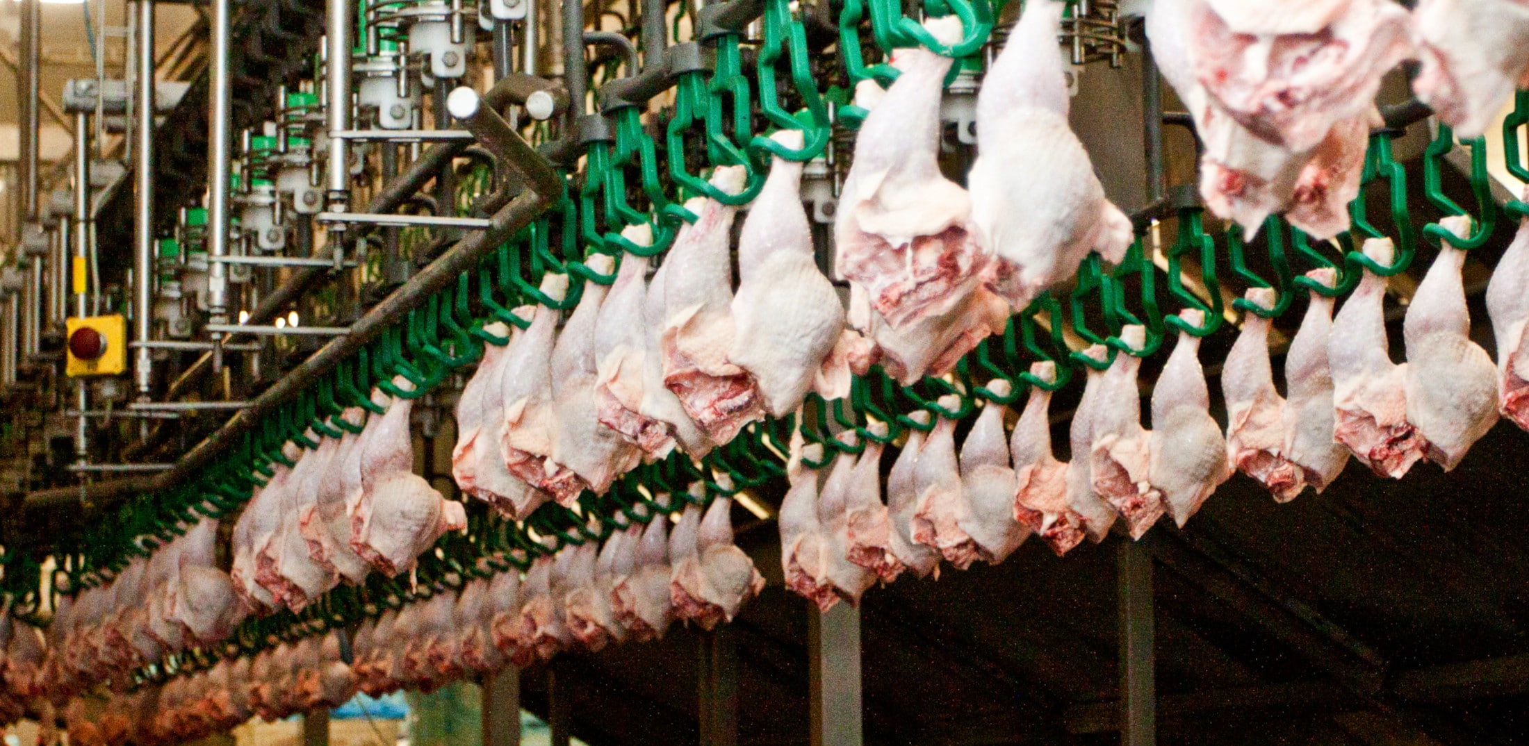 VR Technology Could Enable People to Butcher Animals from Home