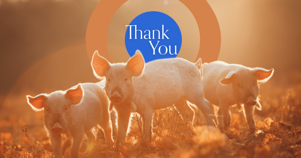 Mercy For Animals - Help Us End Factory Farming