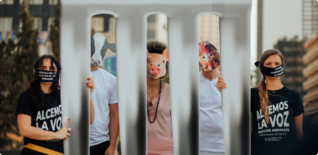 Mercy For Animals Holds Its Largest Demonstration Ever