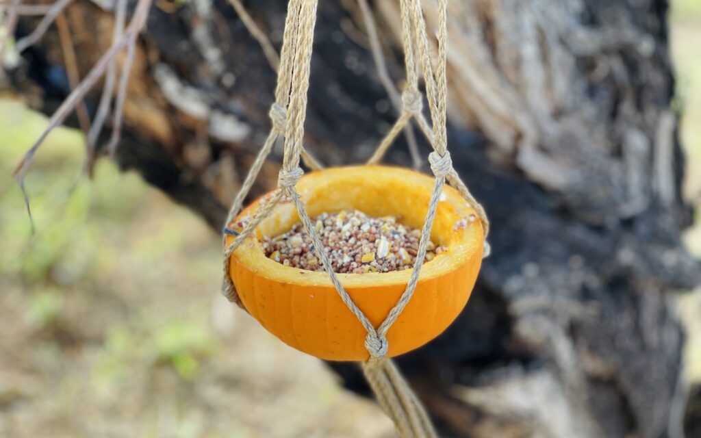 Five Sustainable Ways to Recycle Your Halloween Pumpkin