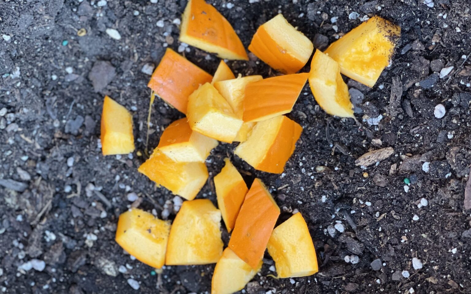 Five Sustainable Ways to Recycle Your Halloween Pumpkin