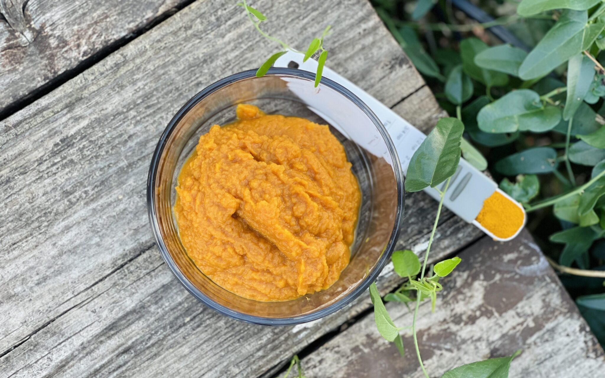 Five Sustainable Ways to Recycle Your Halloween Pumpkin