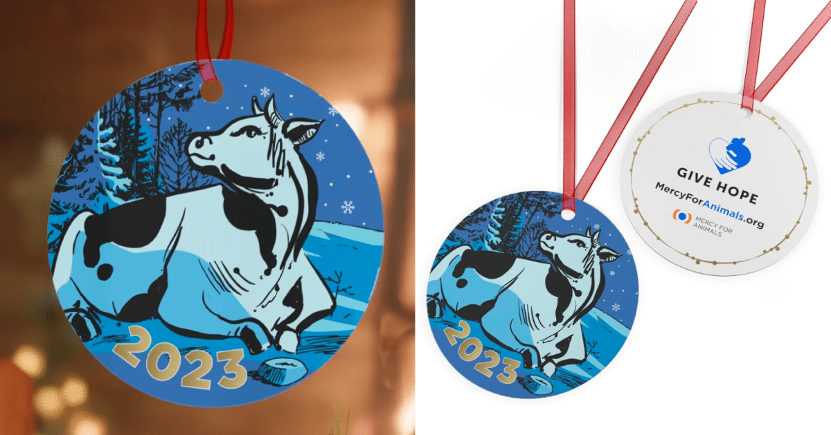 10 Ways You Can Deck the Halls with Kindness This Holiday Season