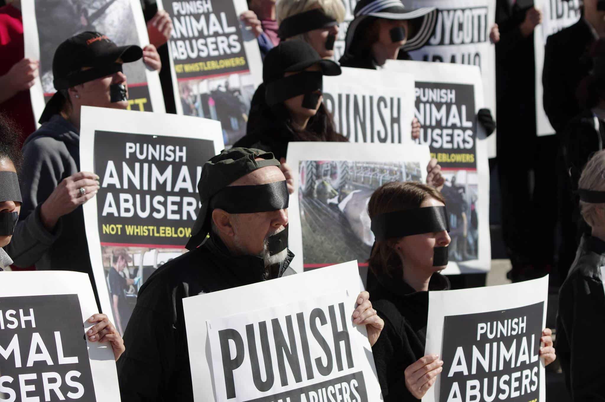 12 Jaw-Dropping Protests Around the World That Ignited Change for Animals