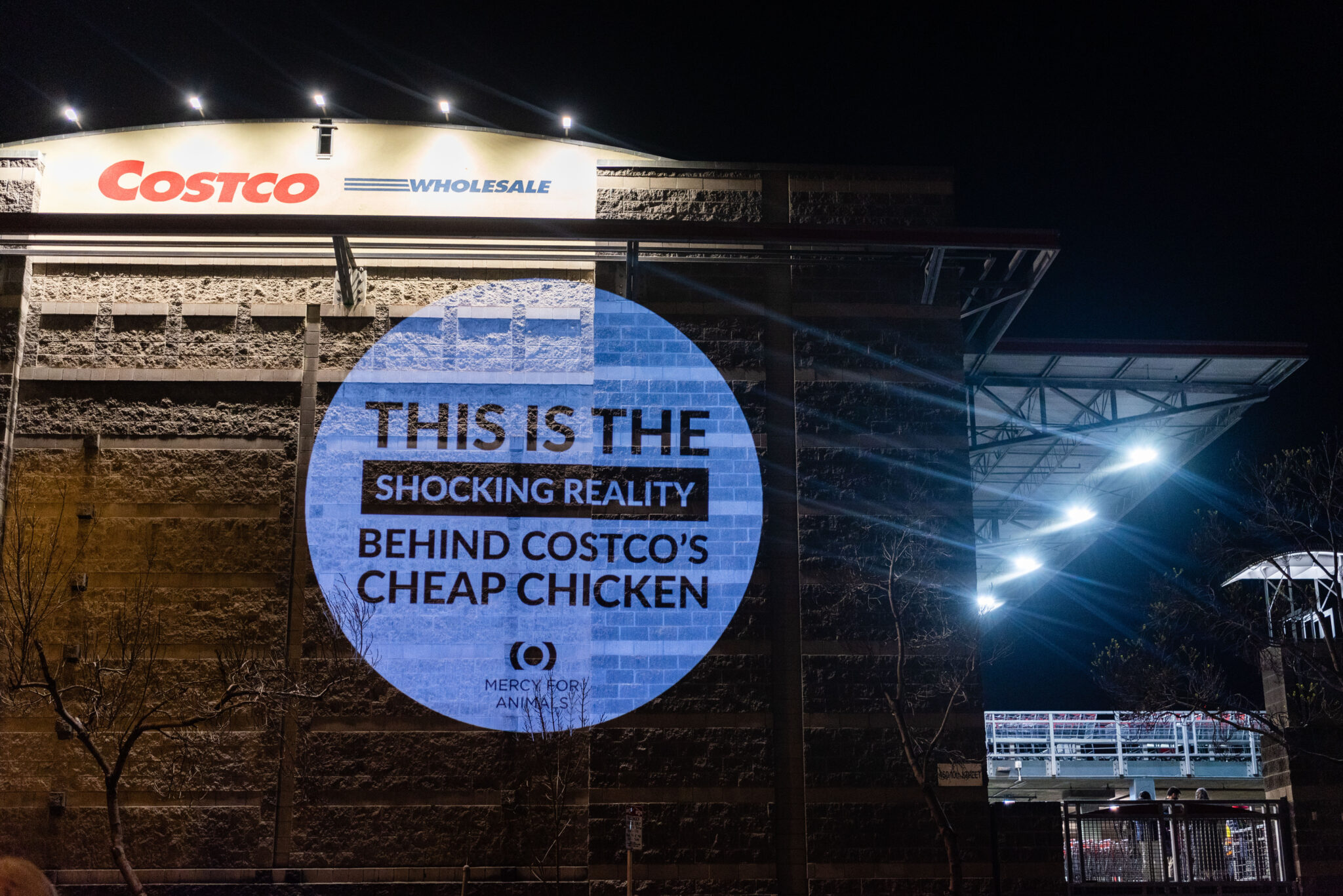 12 Jaw-Dropping Protests Around the World That Ignited Change for Animals