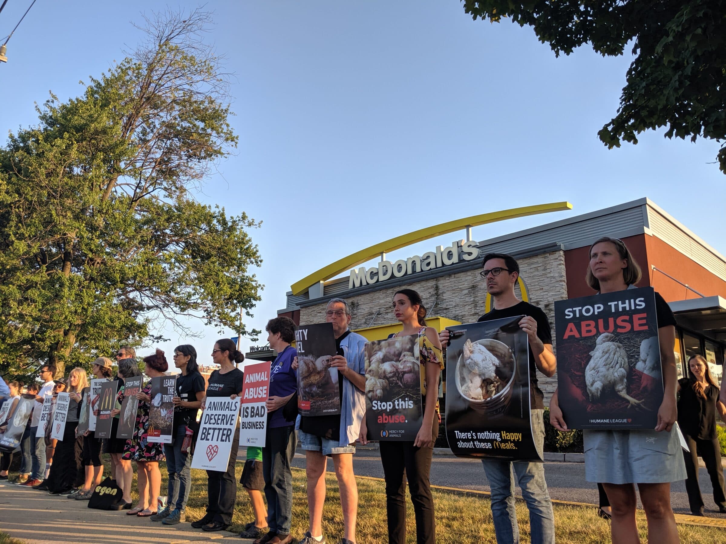 12 Jaw-Dropping Protests Around the World That Ignited Change for Animals