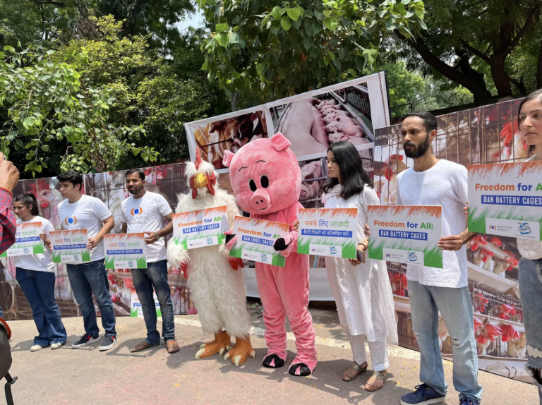 12 Jaw-Dropping Protests Around the World That Ignited Change for Animals