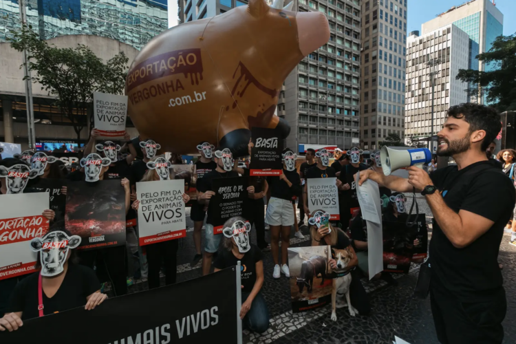 12 Jaw-Dropping Protests Around the World That Ignited Change for Animals
