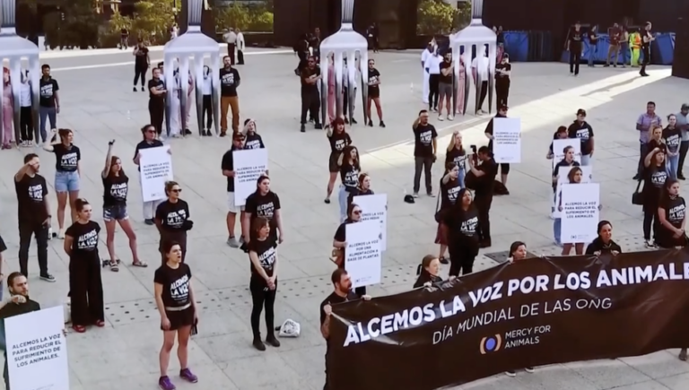 12 Jaw-Dropping Protests Around the World That Ignited Change for Animals