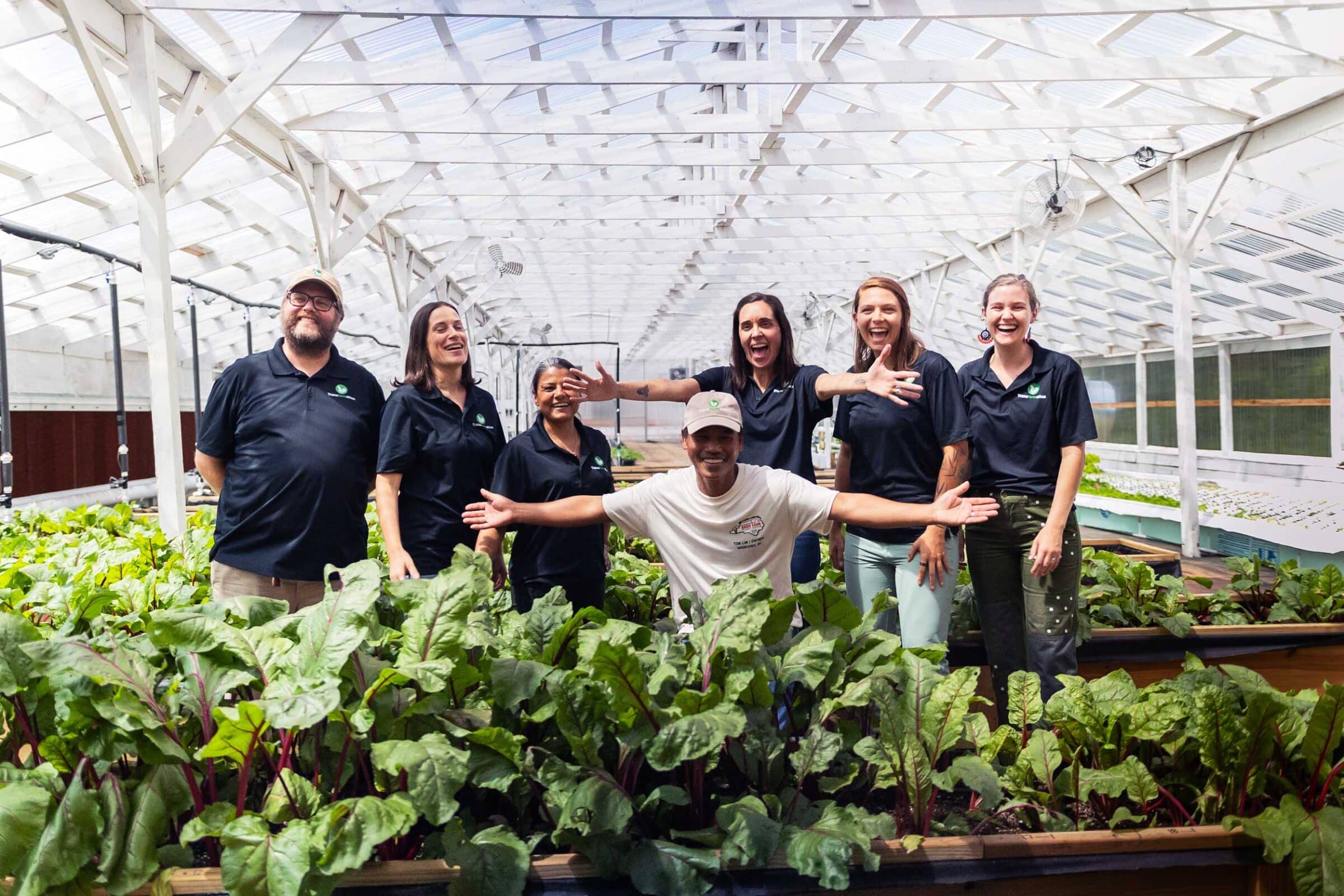 Transforming poultry barns into greenhouses: New North Carolina hub ...