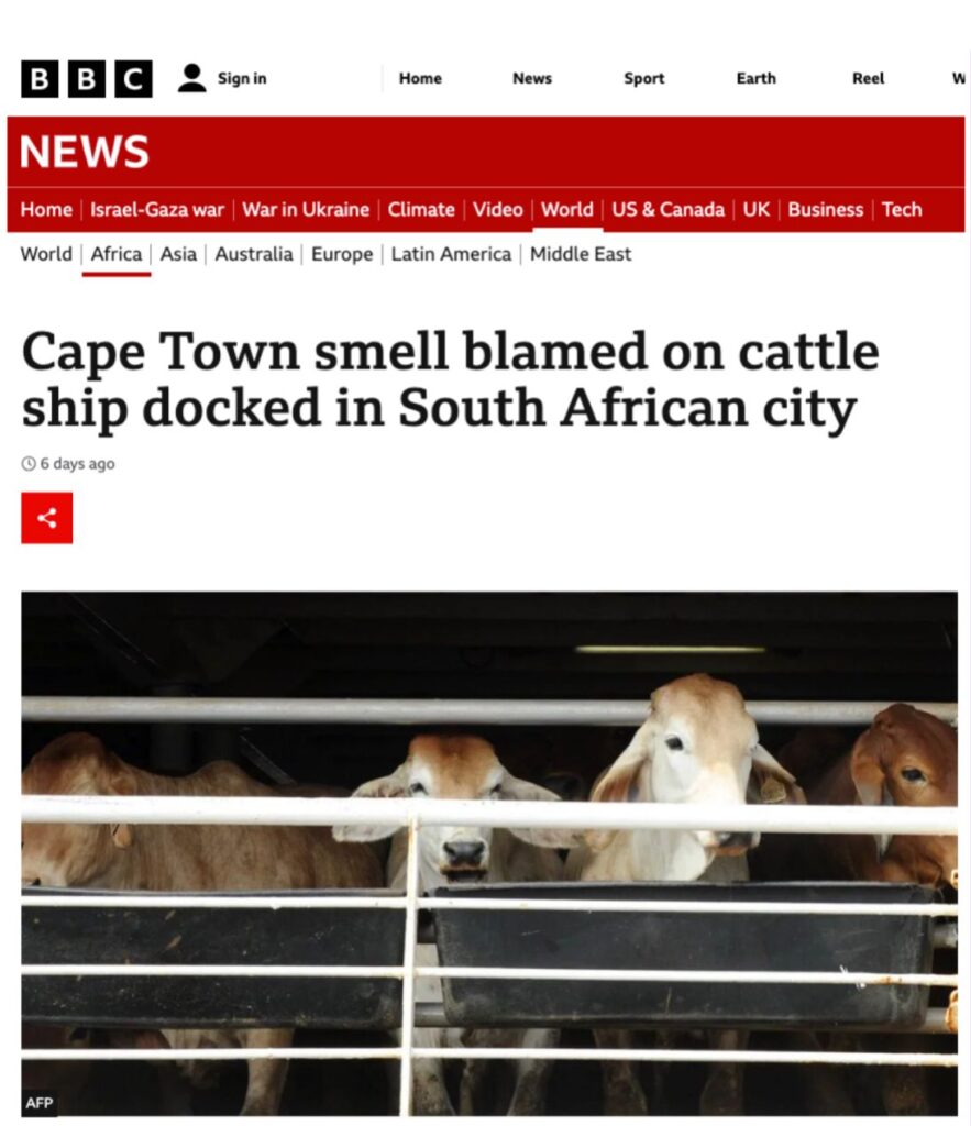 MFA pede urgência na tramitação de projeto de lei que proíbe a ...