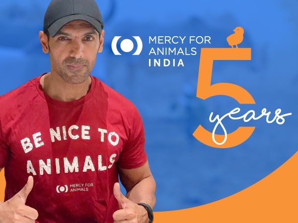 Mercy For Animals – World’s Leading Farm Animal Rights and Vegan ...