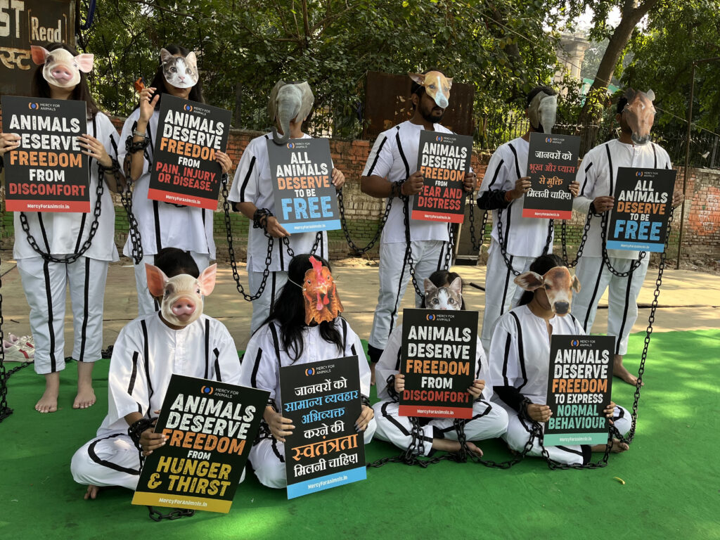 Volunteers dressed as prisoners in animal masks promote a powerful ...