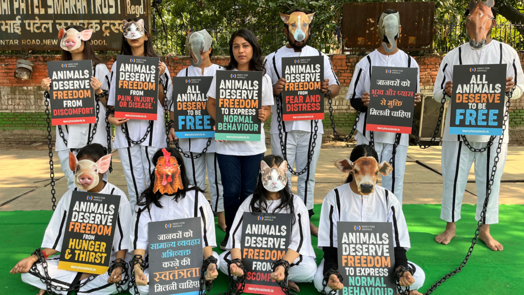 Volunteers dressed as prisoners in animal masks promote a powerful ...