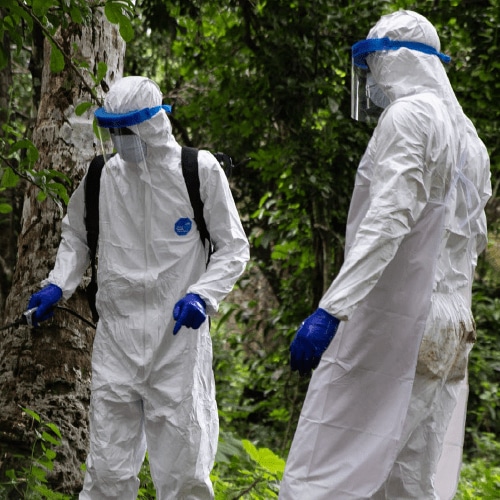 Fact Sheet: What You Should Know About Zoonotic Diseases - Volunteer ...