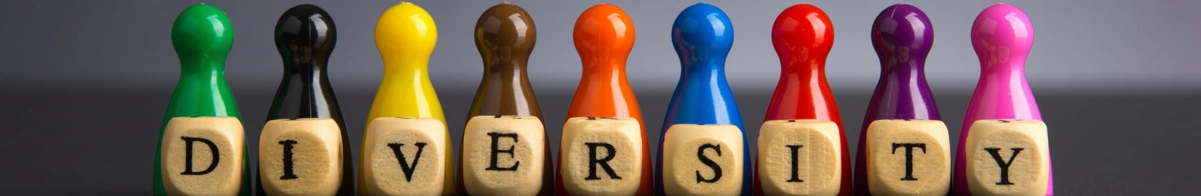 Diversity, Equity, Inclusion, and Justice - Volunteer Resource Hub