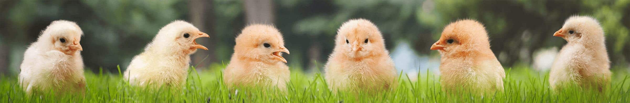 All Resources - Volunteer Resource Hub