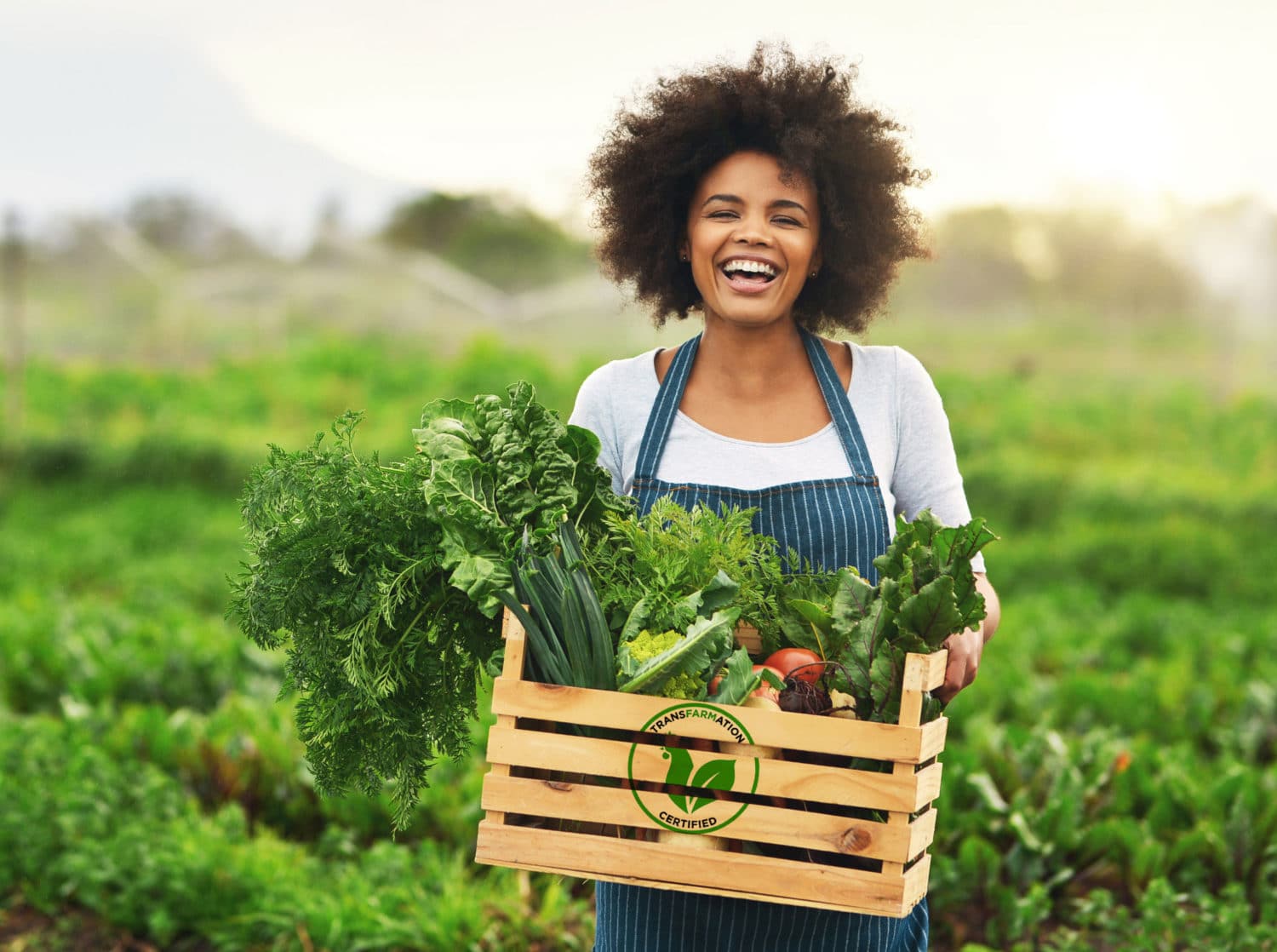 The Transfarmation Project