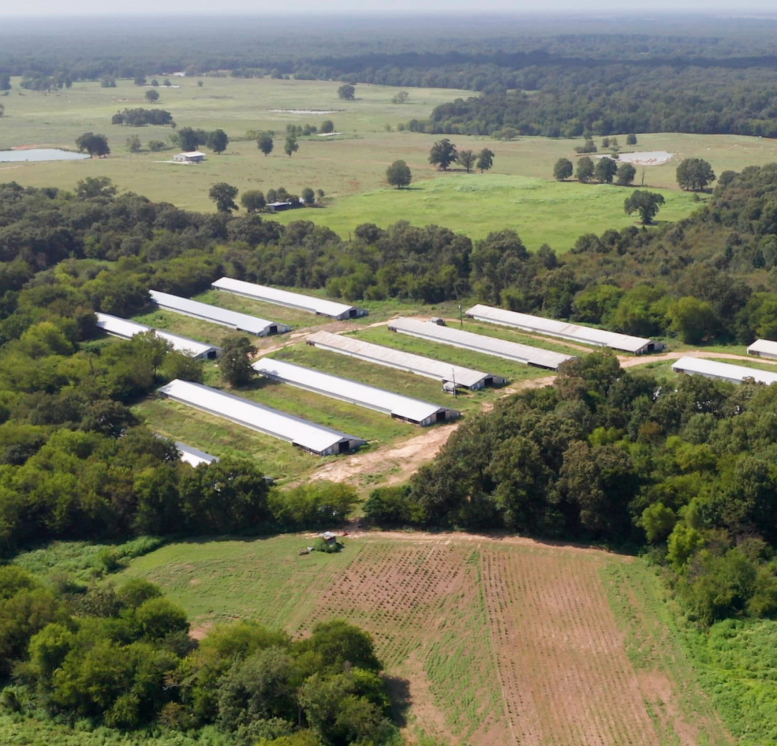 The Transfarmation Project