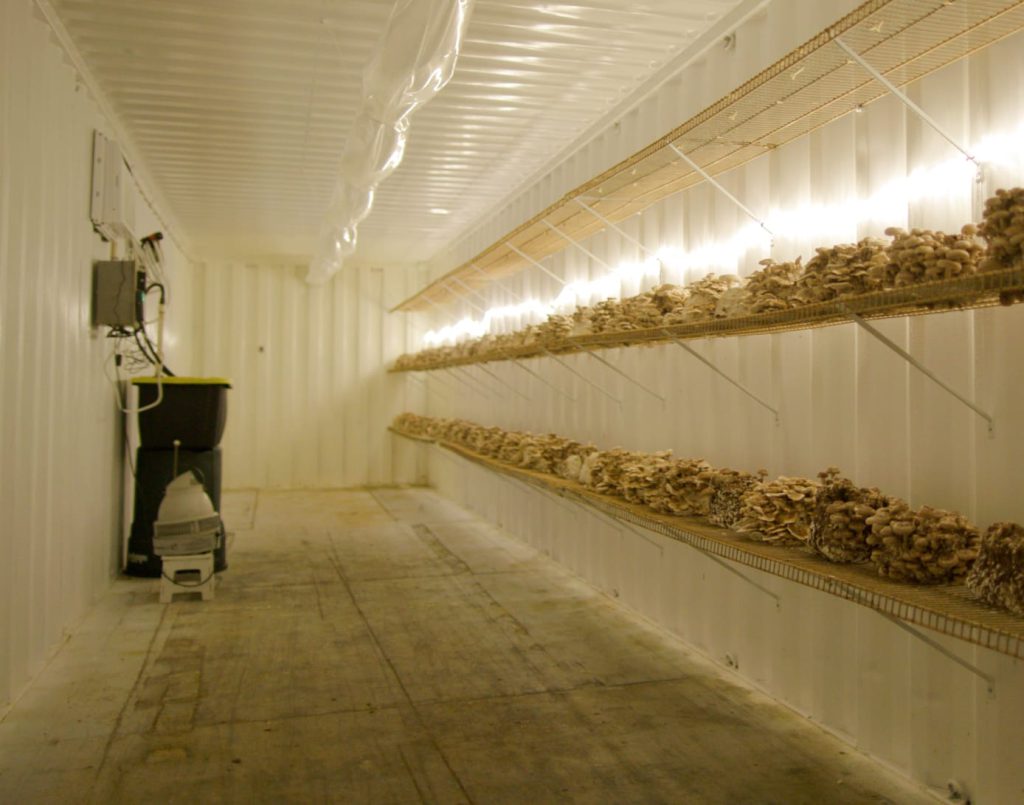 The Transfarmation Project