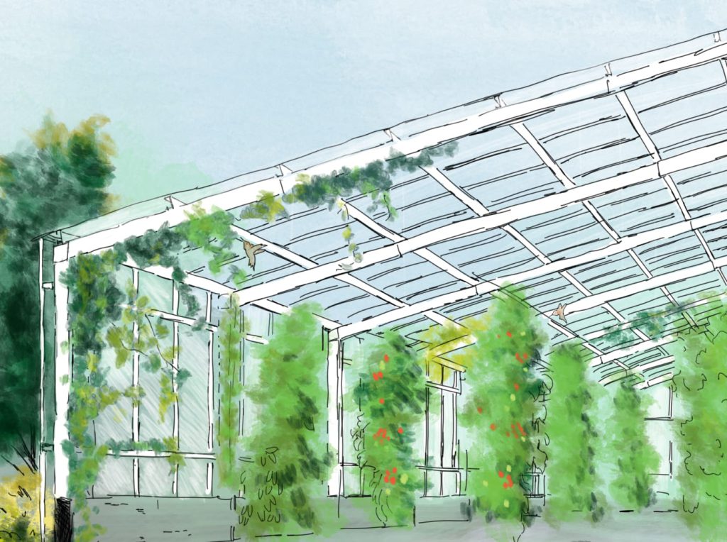 The Transfarmation Project