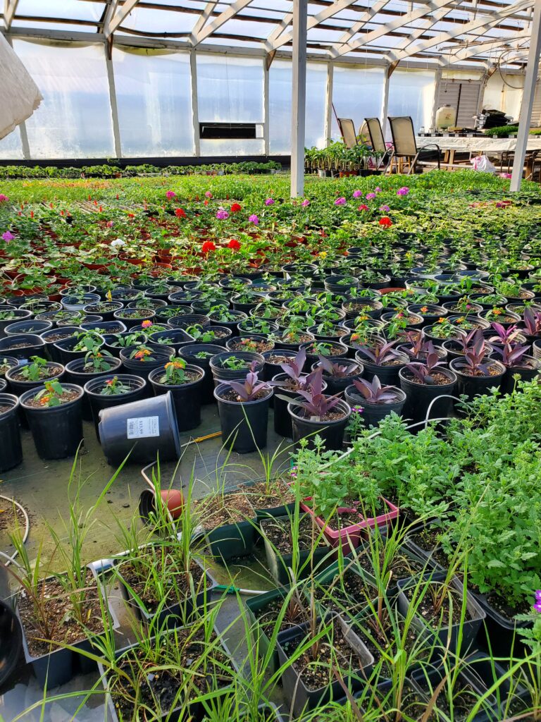 The Transfarmation Project