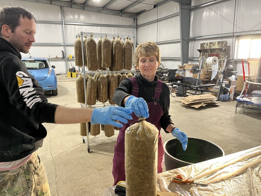 The Transfarmation Project