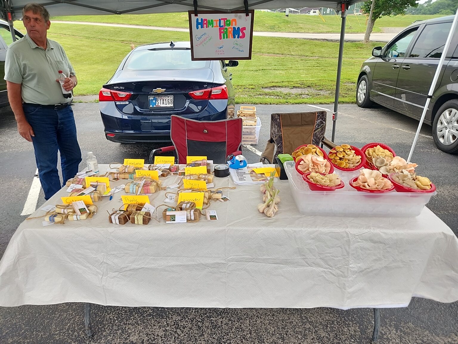 The Transfarmation Project