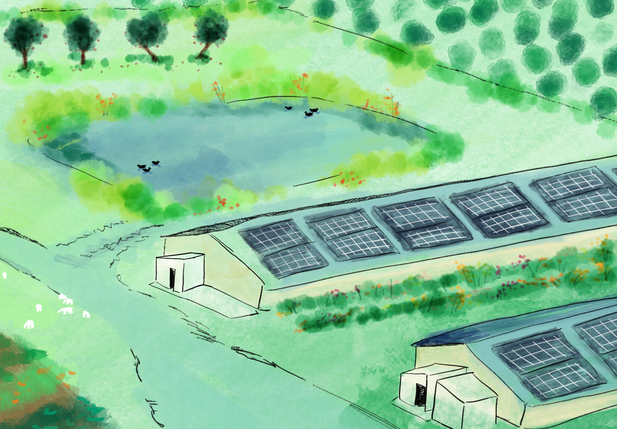 The Transfarmation Project