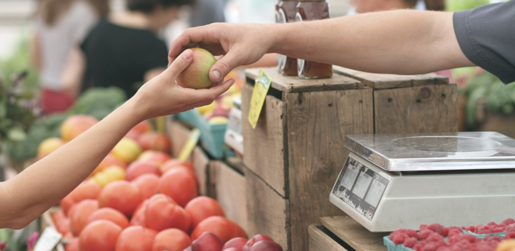 The Transfarmation Project