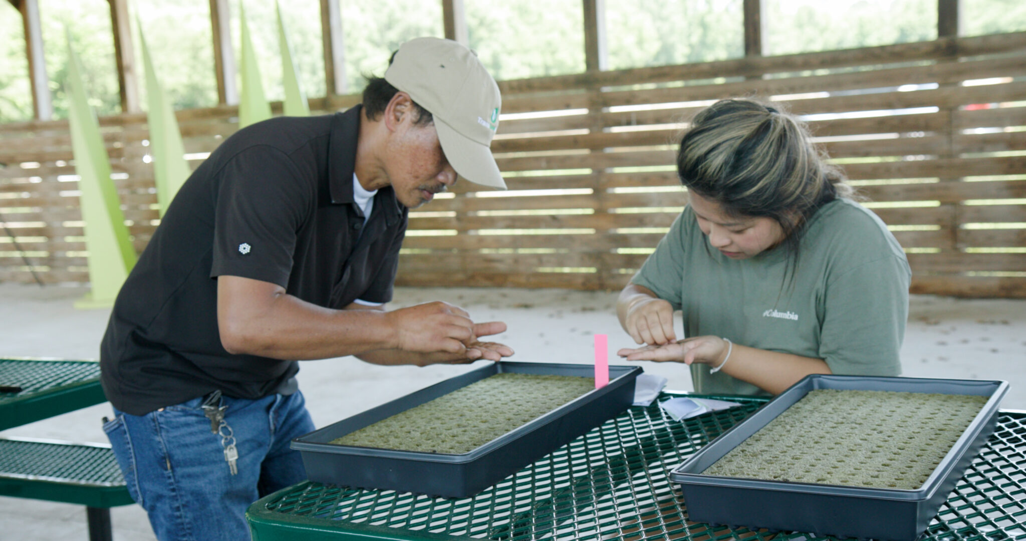 The Transfarmation Project