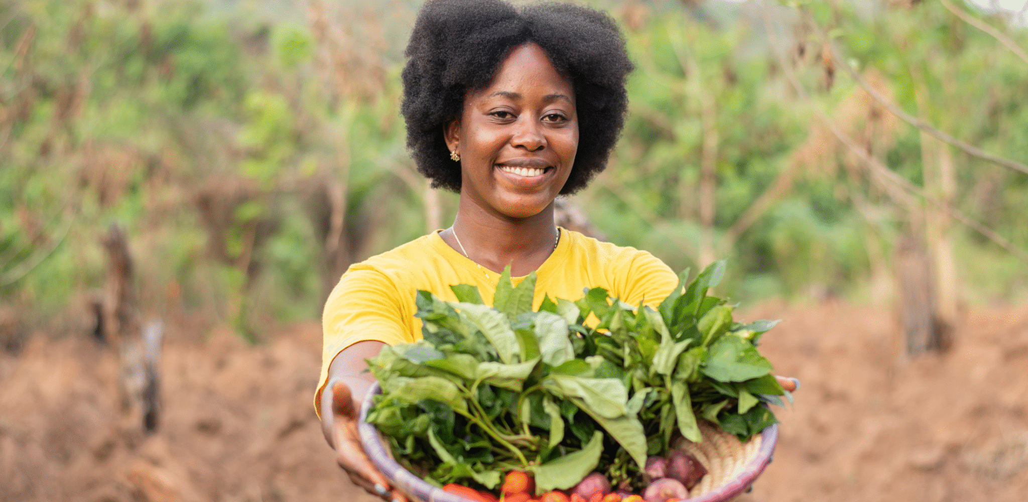The Transfarmation Project