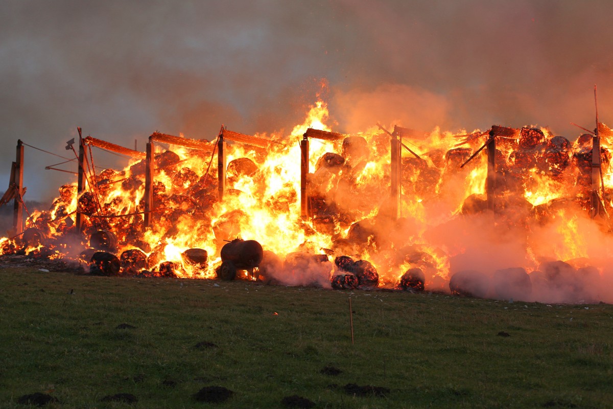 Devastating! Nearly 5,000 Pigs Burned Alive in Ohio Barn Fire - Mercy ...