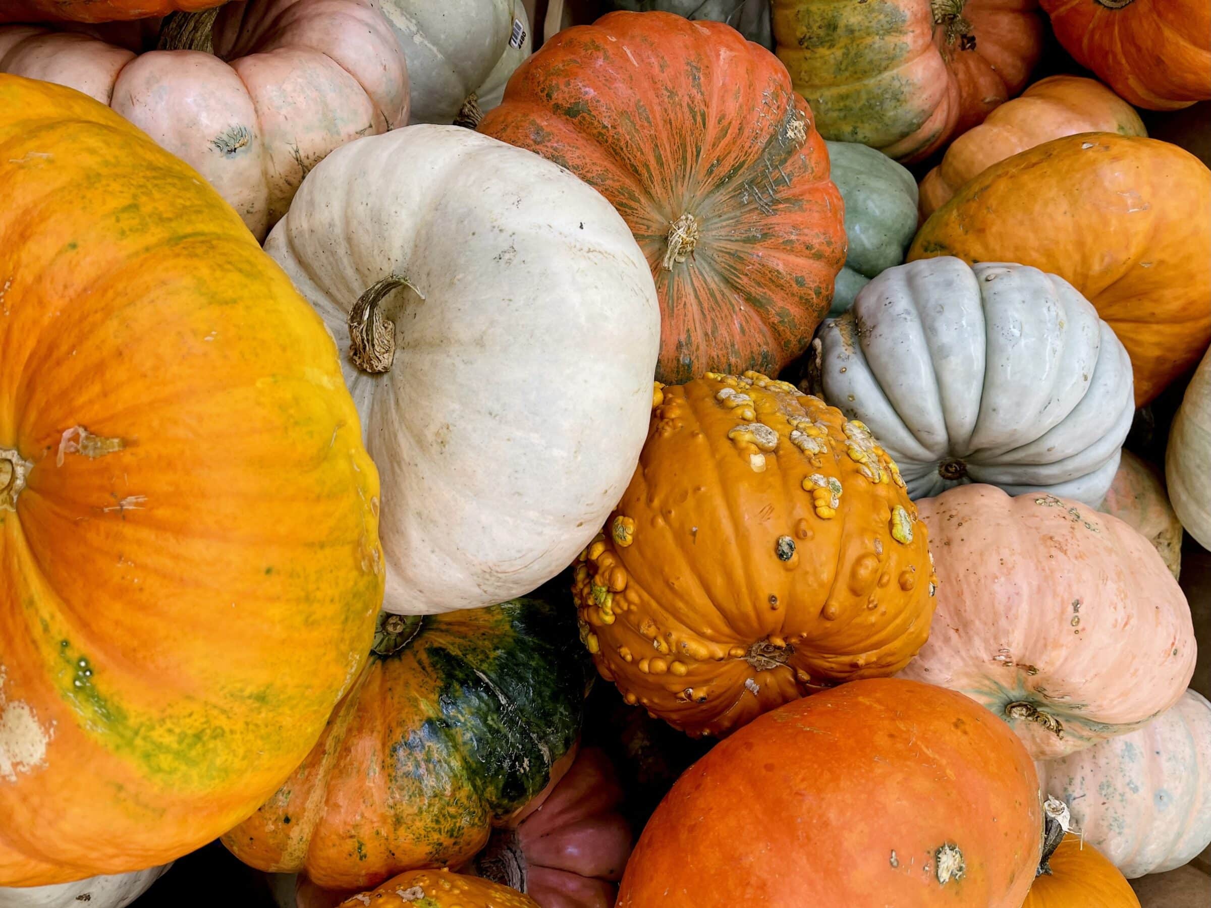 Five Sustainable Ways to Recycle Your Halloween Pumpkin