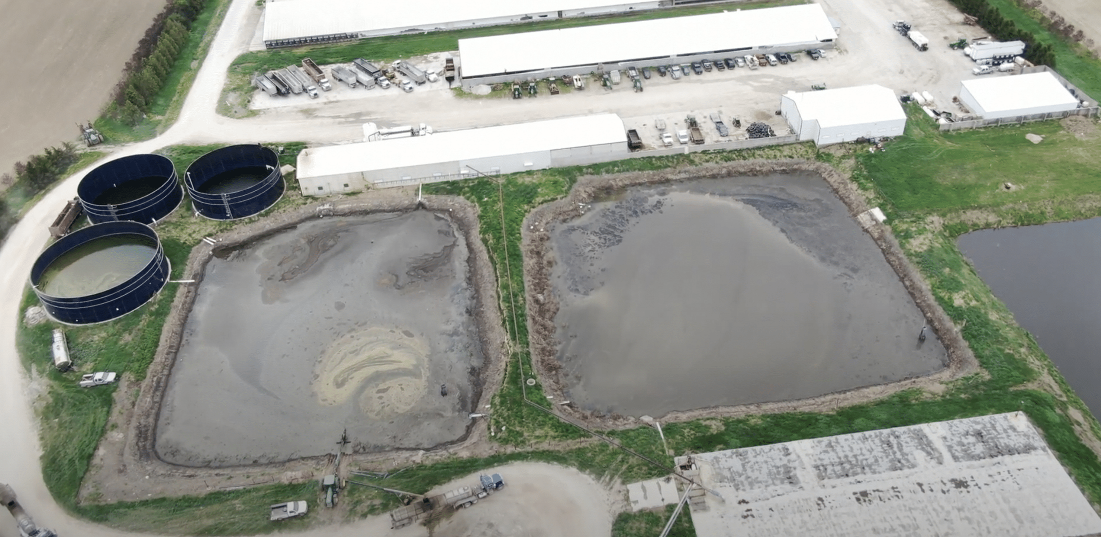 Mercy For Animals Drone Investigation Reveals Wisconsin Cheese Industry