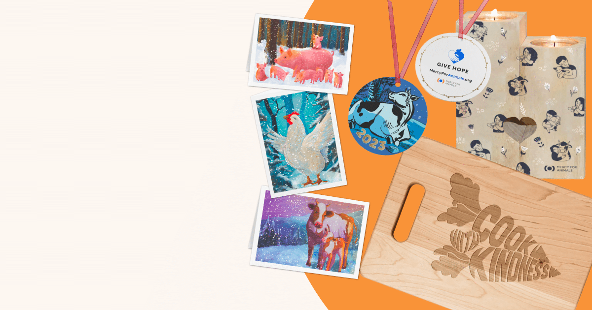 10 Ways You Can Deck the Halls with Kindness This Holiday Season