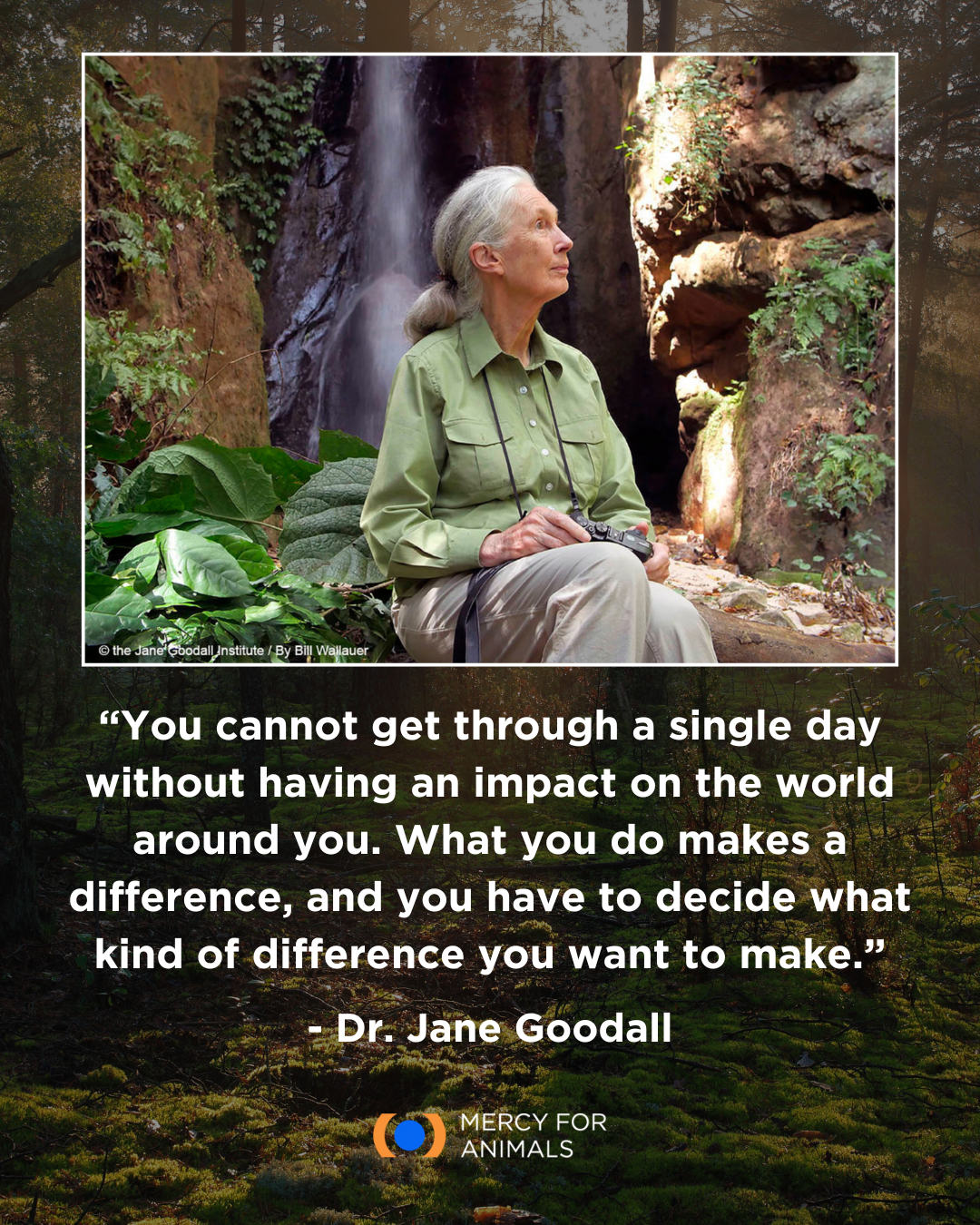 A Life of Courage and Compassion: Celebrating Jane Goodall