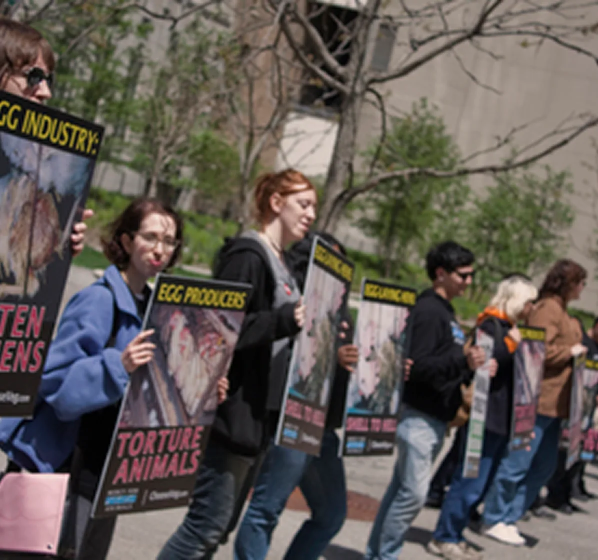 Approach - Mercy For Animals Our Approach